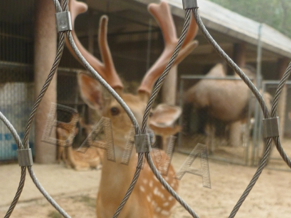 Deer Enclosure Mesh-HEBEI MSD METAL PRODUCT CO.,LTD.,stainless steel ...